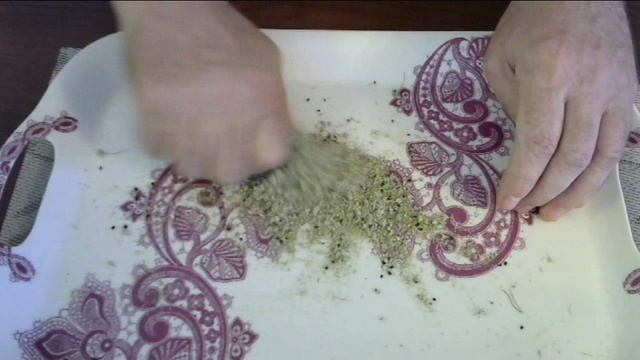 Собраны семена лука чернушка