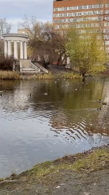 Харитоновский парк в Екатеринбурге. Осень 2025