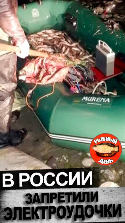 В России запретили электроудочки