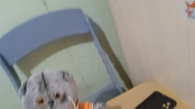 Басик привет 6 серия