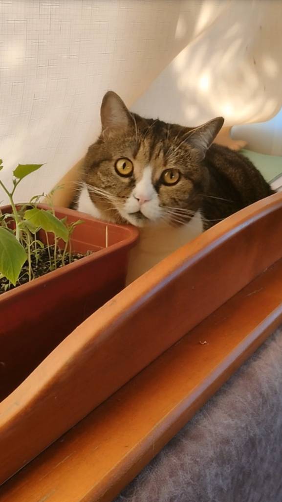 Просто отдыхаем с кисой. Приятно.