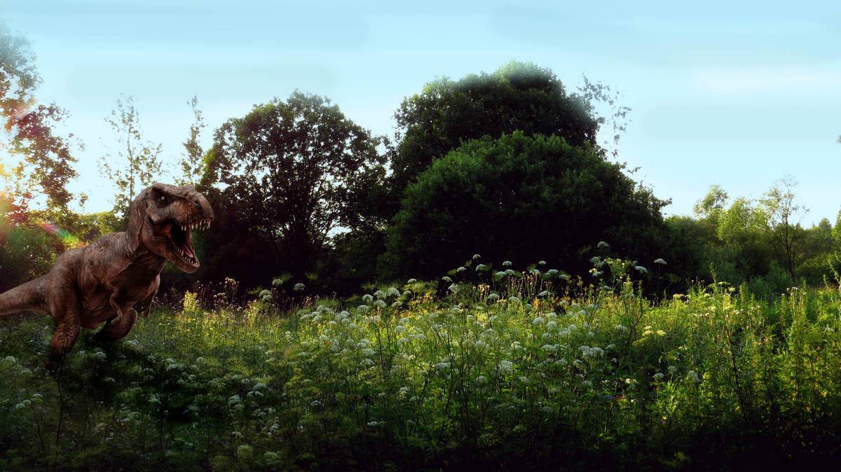 Чистый ароматный воздух