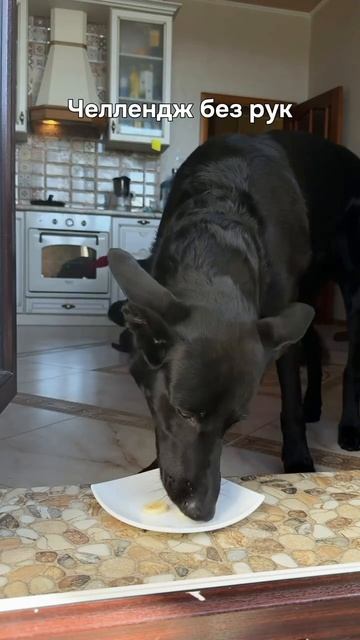 Интересные у вас конкурсы!