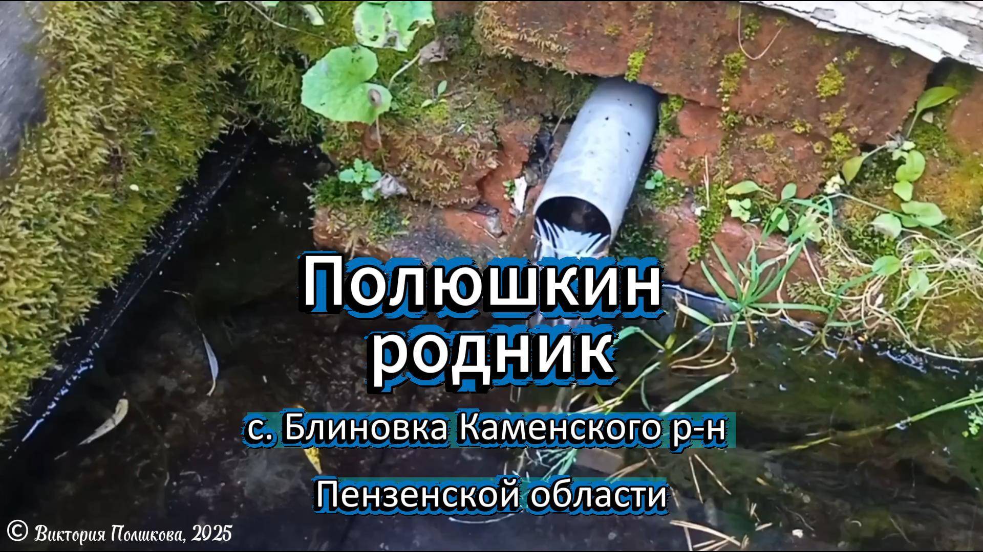 Полюшкин родник. Наше путешествие по святым местам