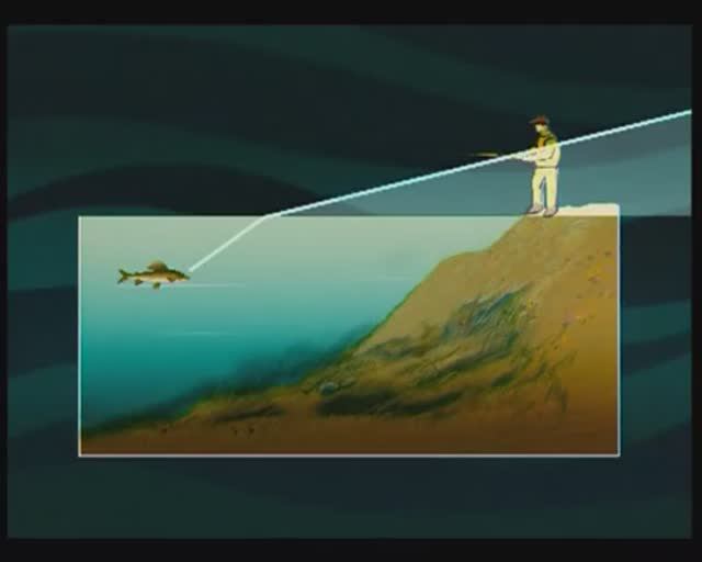 Где для рыб находится «слепая зона», и как они видят предметы, расположенные вне воды ?