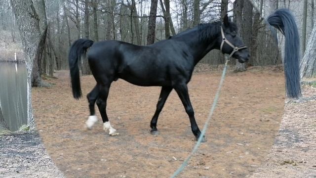 зимняя пора.mp4