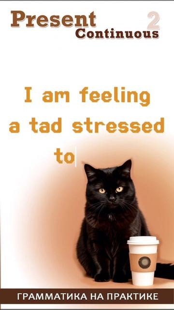 Present Continuous_полезные фразы.