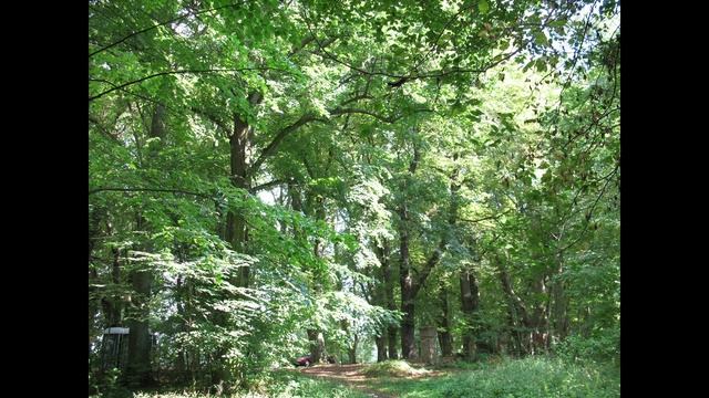 Brtnice  6 августа 2009