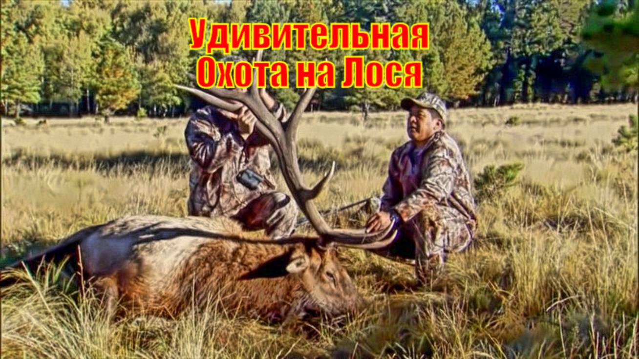 Удивительная Охота на Лося