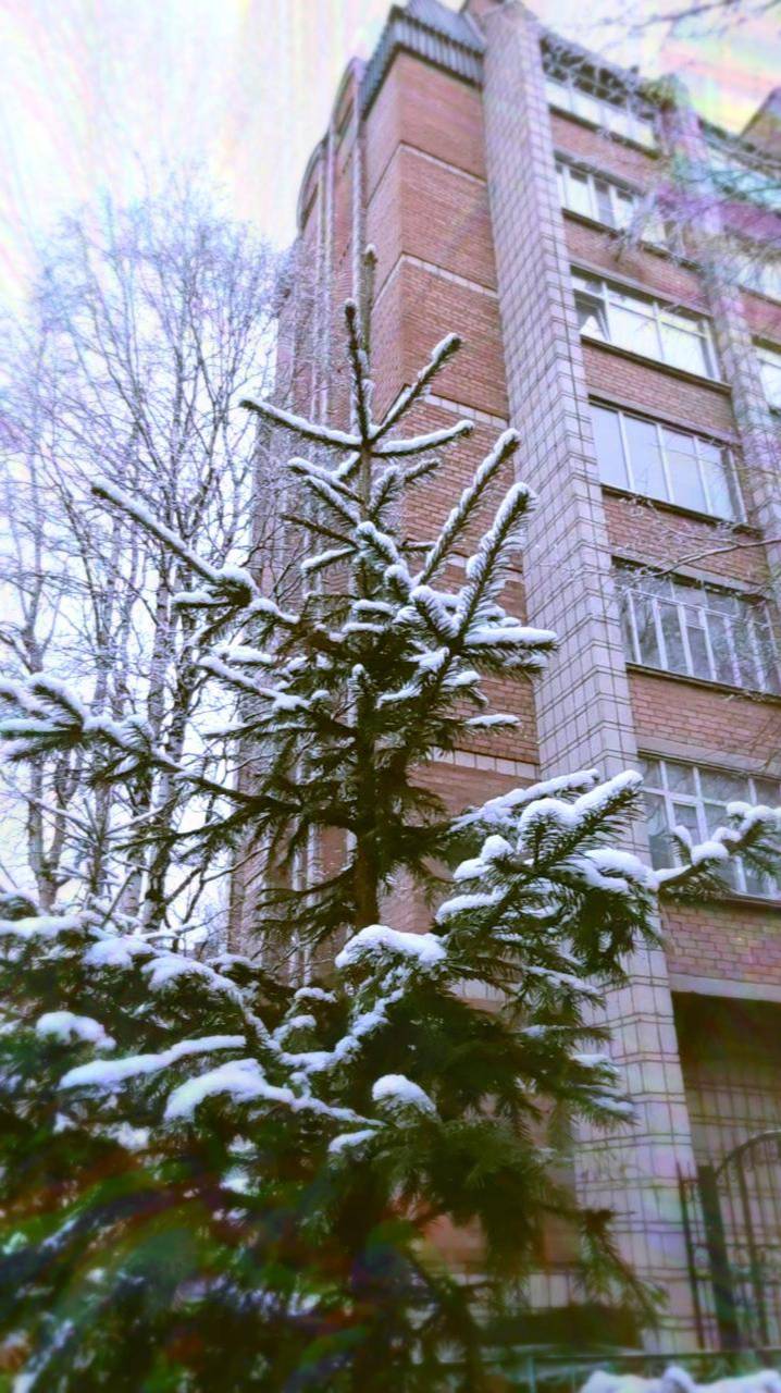 Ухта. Коми. 1 ноября 2025г.