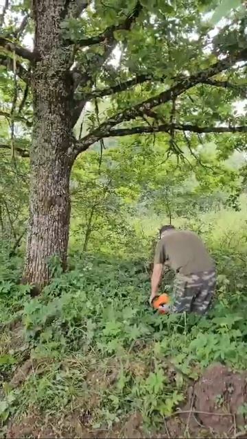 Субботник 5.07.24 - расчистка территории вокруг колодца