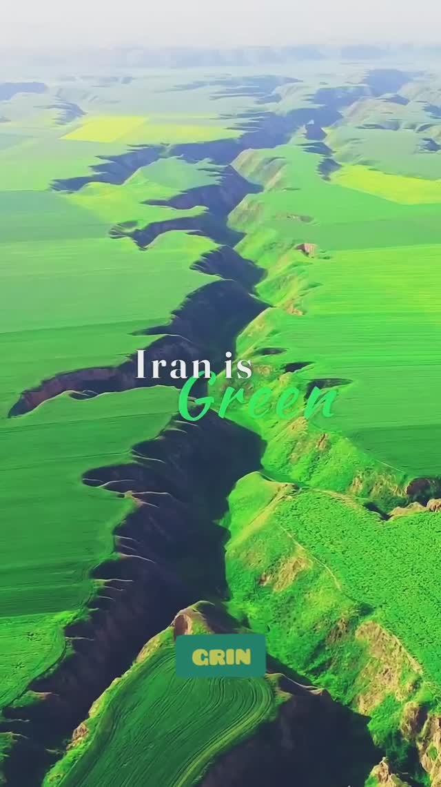 Разноцветный ИРАН🇮🇷