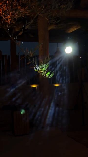 Техническое обеспечение мероприятия в серии летних вечеринок в modus beach club | @crimea.dj