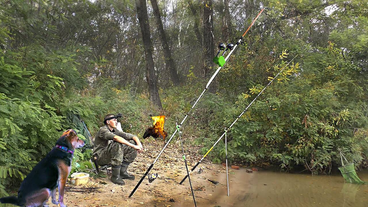 БУБЕНЦЫ ЗВЕНЯТ..... ПЛОТВА КЛЮЁТ!  РЫБАЛКА НА ДОНКИ осенью.