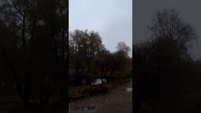 Юсуповский сад