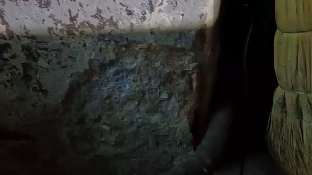 6-й эпизод НОВИЗНА ПОЗИТИВ И МЫ