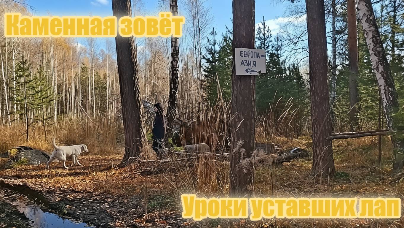 Каменная зовёт: уроки уставших лап