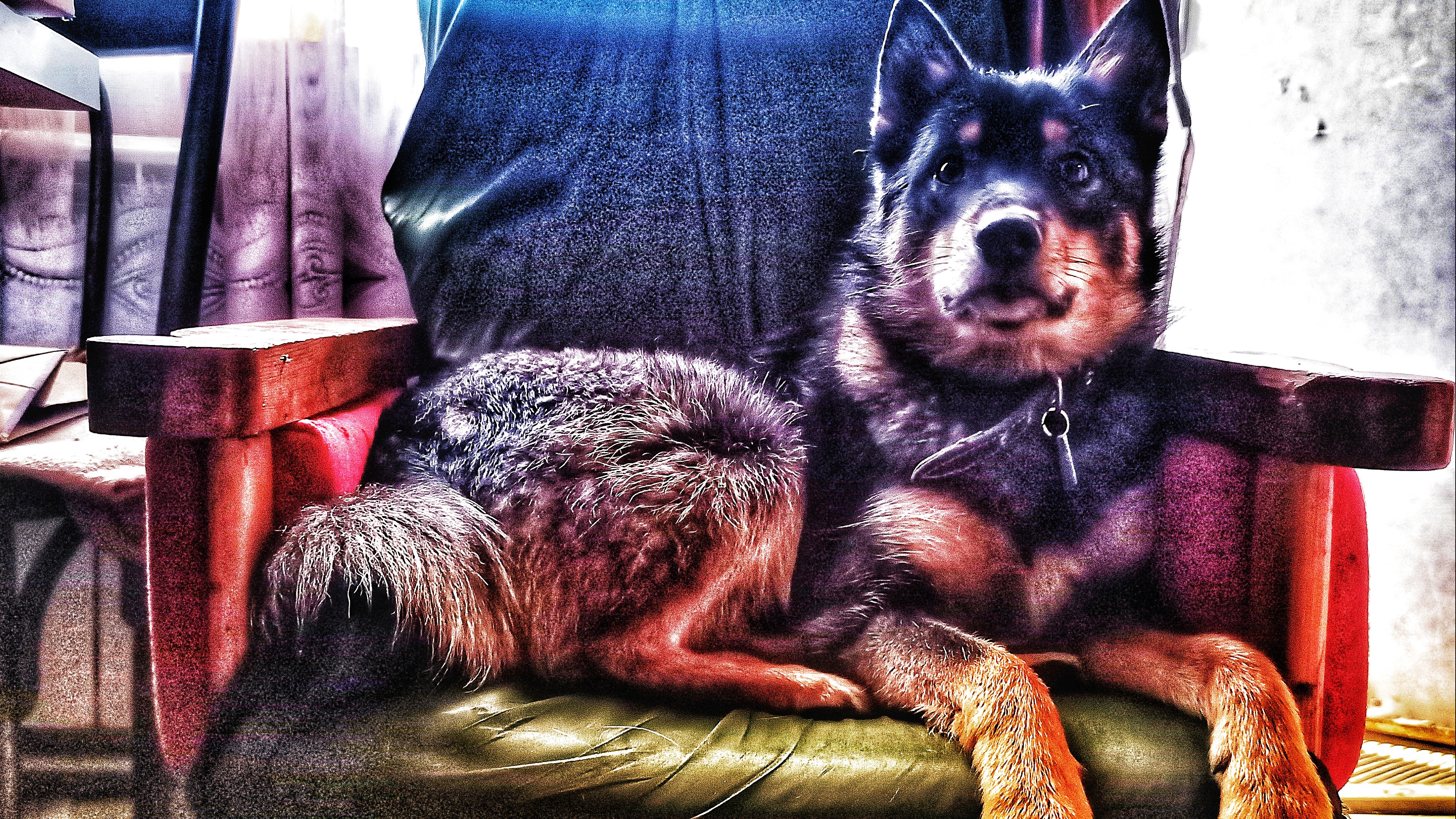 ДПСС. ППВ. Чу.