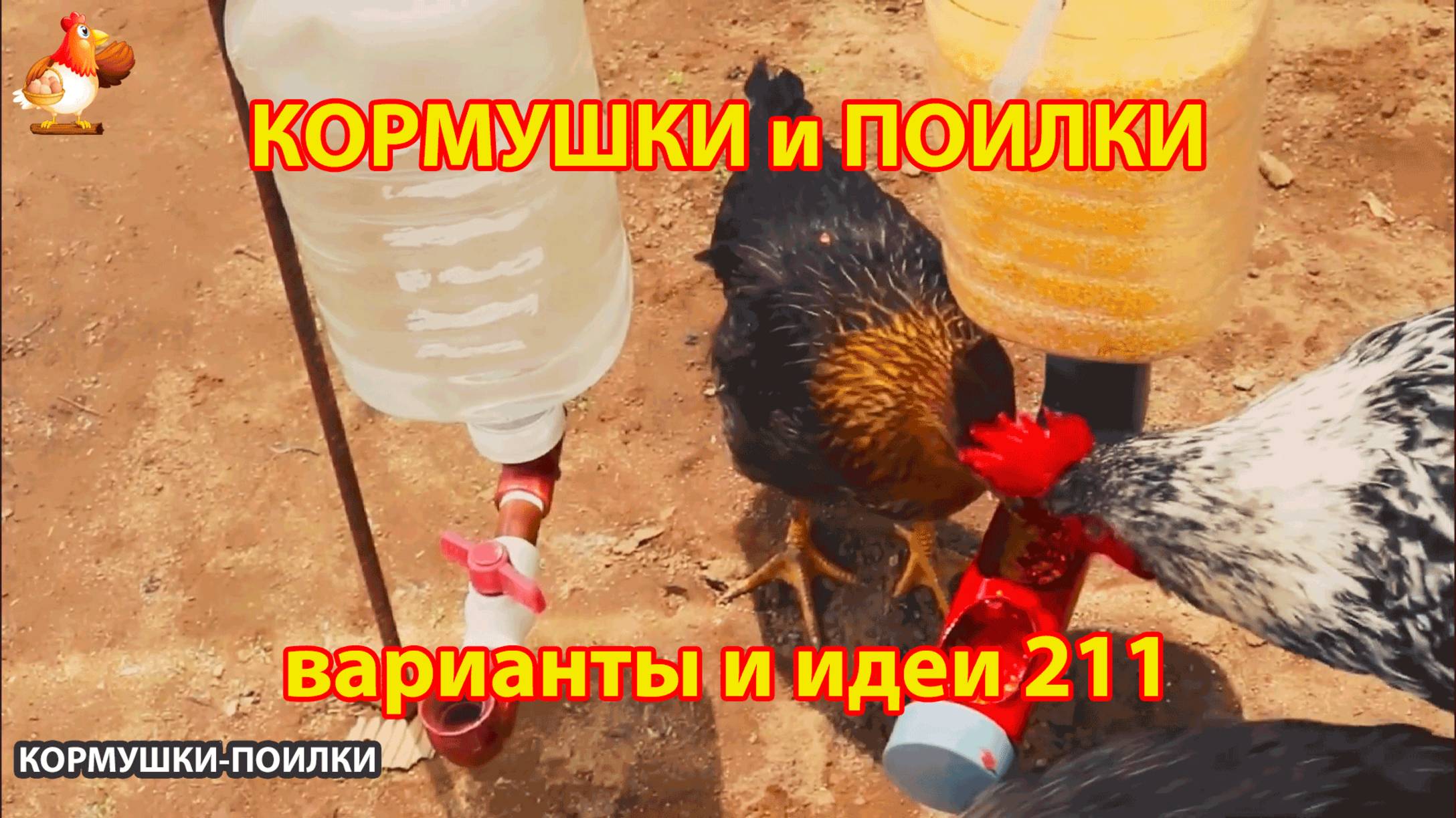 Кормушки и поилки для кур своими руками (211) 🪚✂️ Пошаговая инструкция как сделать 🐔 🐓❣️