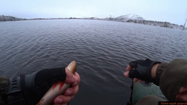 Рыбалка 2 ноября,закрываю лодочный сезон.