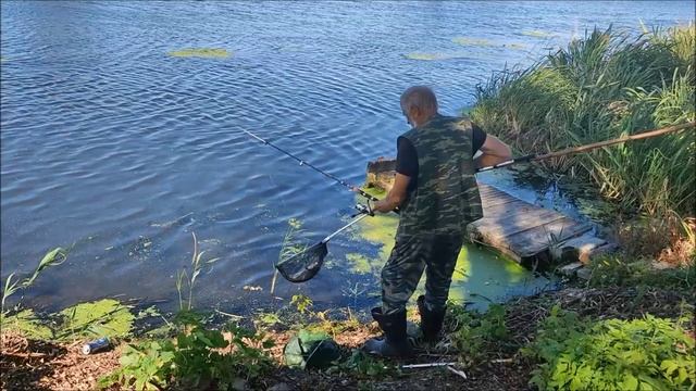 Поймал карпа на донку.