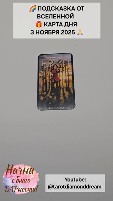 🌈 ПОДСКАЗКА ОТ ВСЕЛЕННОЙ  🎁  КАРТА ДНЯ 3 НОЯБРЯ 2025 🙏