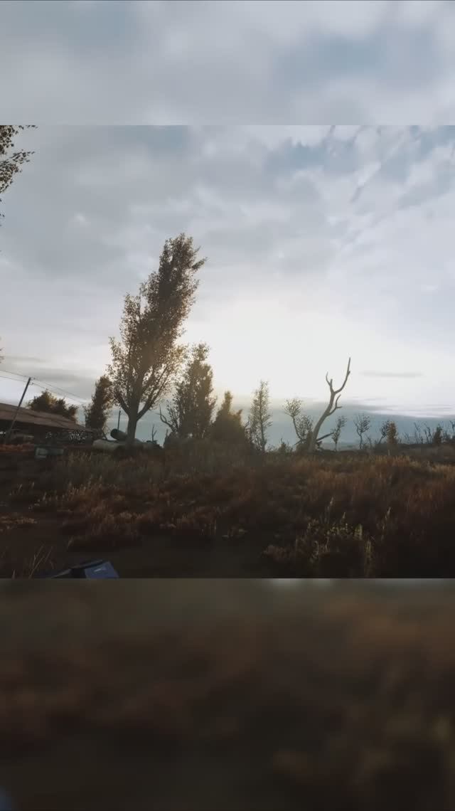 consciousness grass and trees GAMMA #anomaly #stalkergamma #stalkeranomaly #gamma