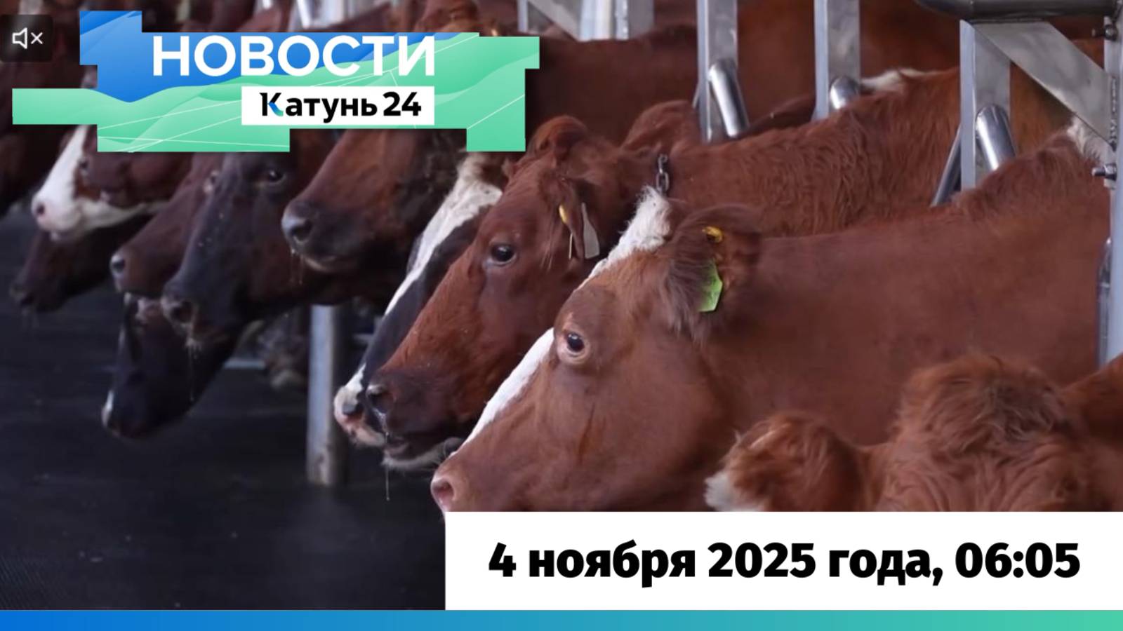 Новости Алтайского края 4 ноября 2025 года, выпуск в 6:05