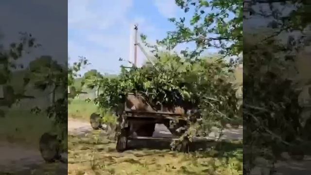 Субботник 27.05.2024 - про трактор)