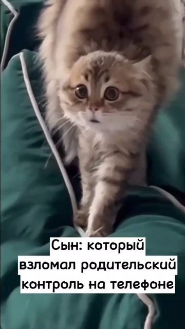 Когда сын взломал родительский контроль