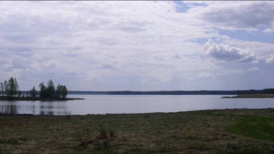 Новгородская область , д.Шарапиха