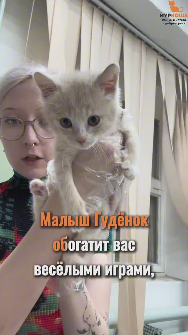 Гудёнок (уже дома)