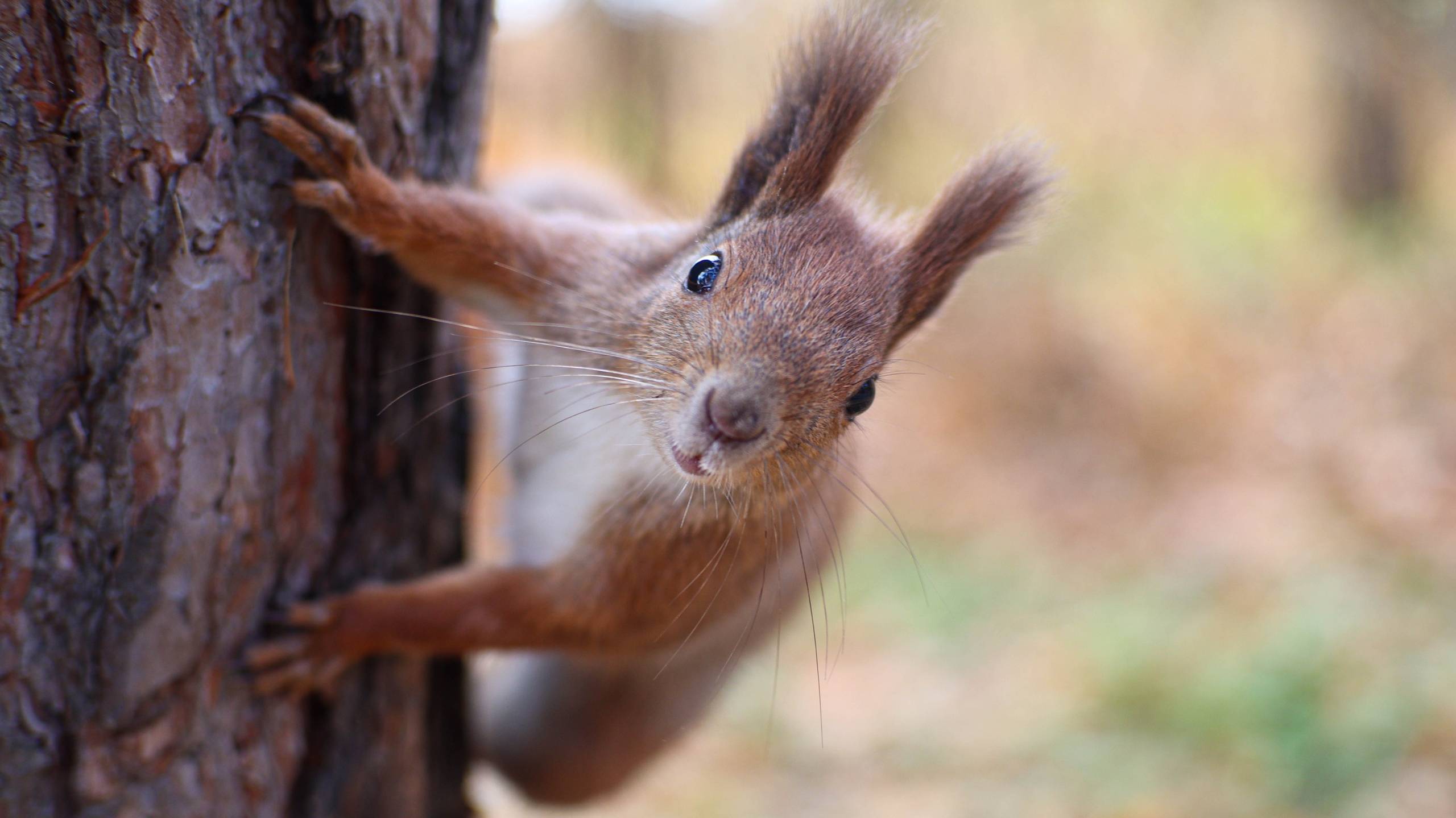 Прогулка у Северского Донца
