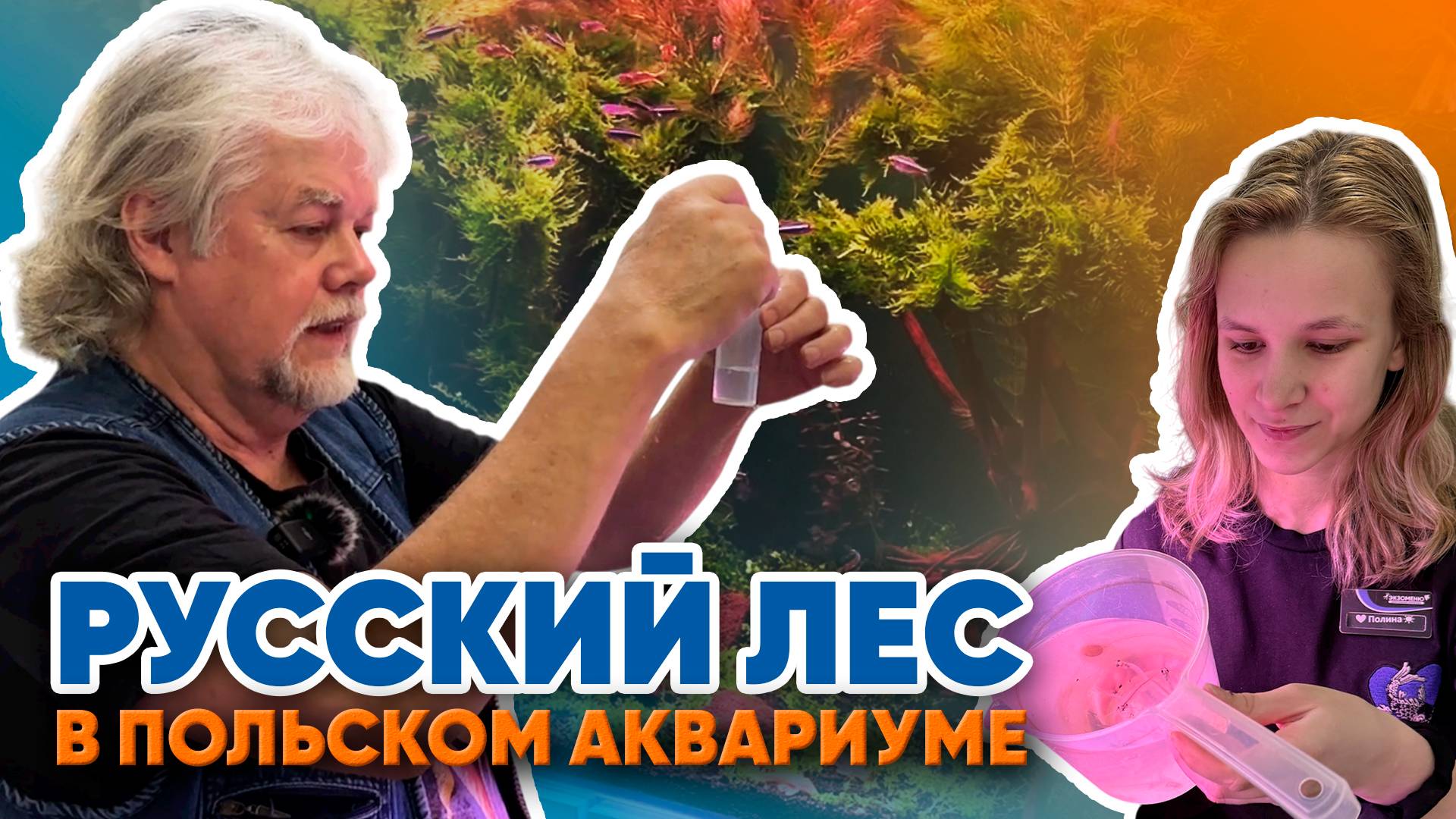 Аквариумные истории из ЭКЗОМЕНЮ (07.11.2025). Русский лес в польском аквариуме.