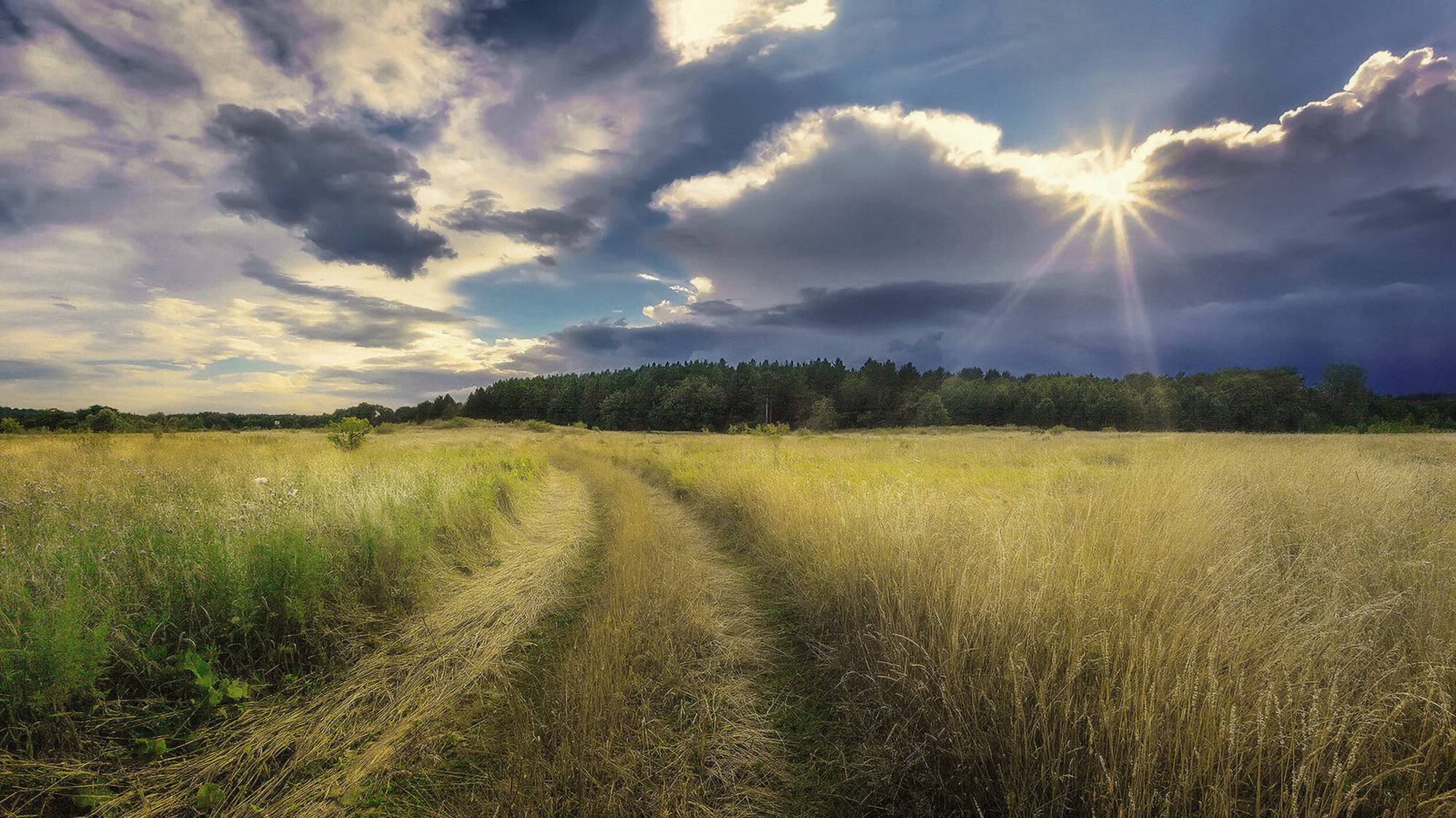 Республика Мордовия, Бобылевские Выселки