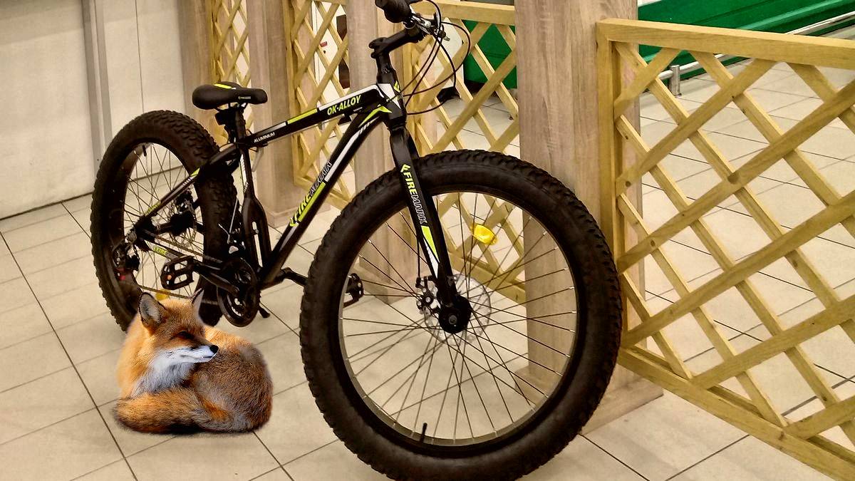 Велосипед едет, фотокамера болтается...