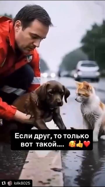 Если друг,то только вот такой..💕 🐈 🐕