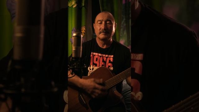 Юлай Аскаров - Һанамағыҙ киткән торналарҙы