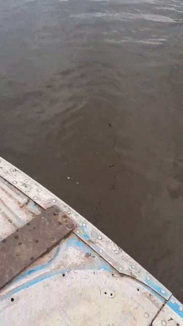 Щука 6 кг на спиннинг