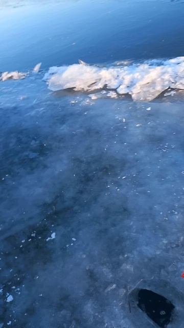 Щука на жерлицу