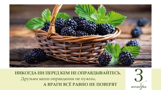 Когда оправдания не имеют смысла