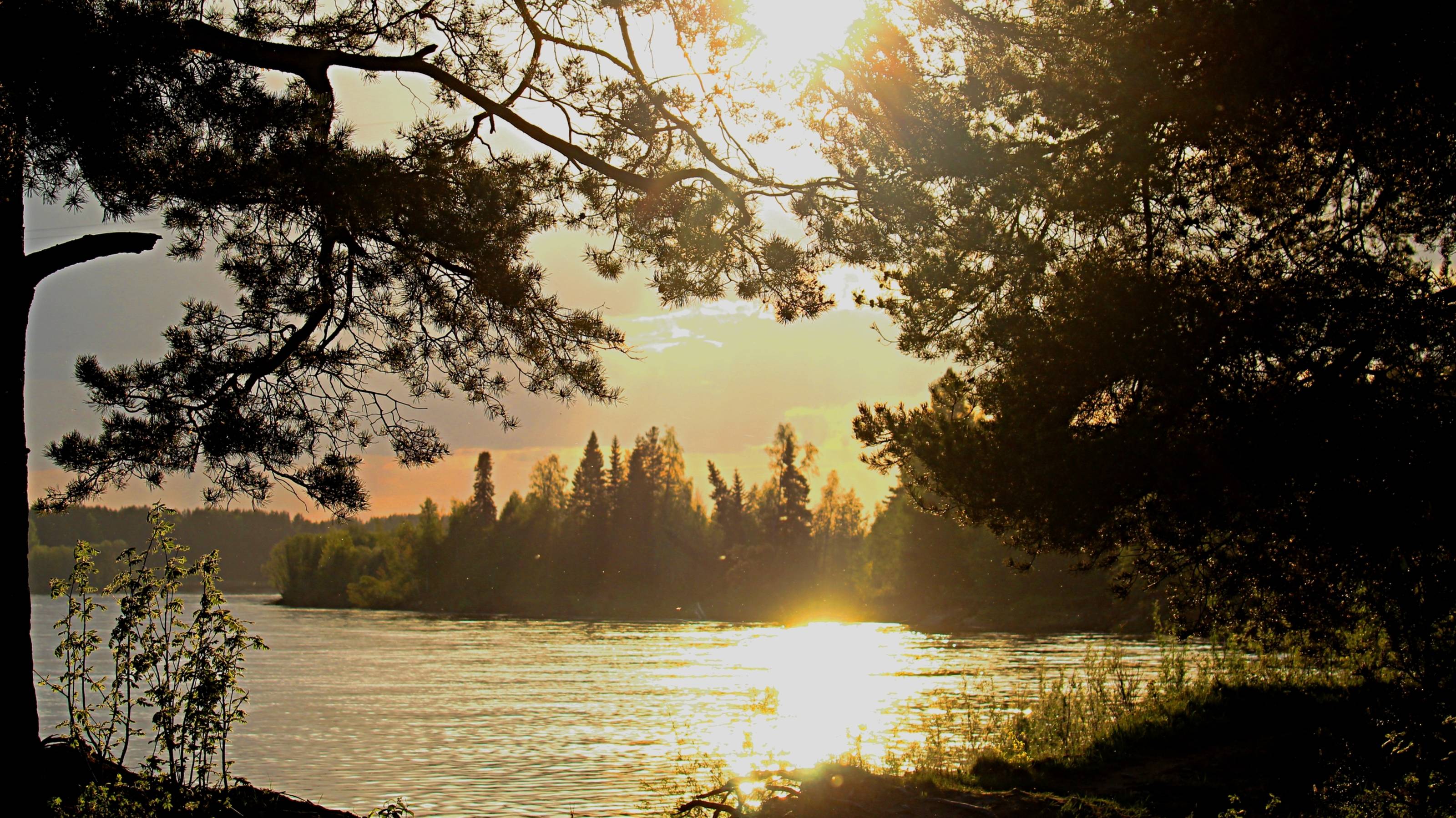 Республика Коми,г.о Сыктывкар, СНТ Эжва, 12-й пр.,32