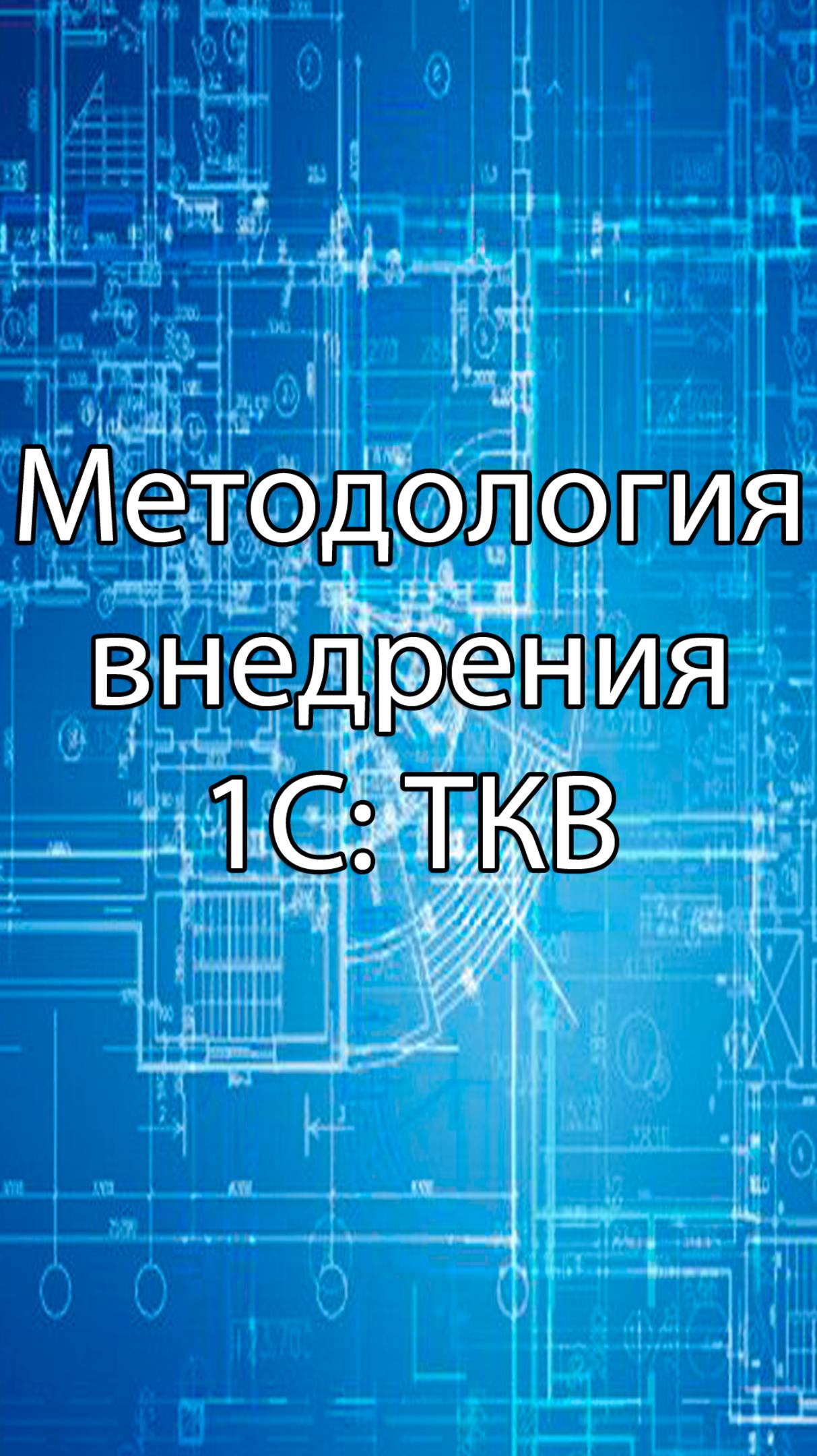 Методология 1С: Технология корпоративного внедрения || Стримы по ERP-системам и КИС (словарь) #erp