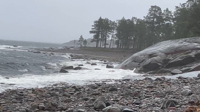 Малый Медведок