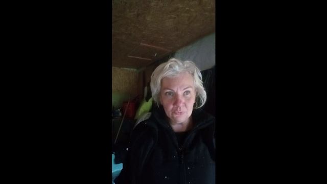 САМА КУЛЬТИВИРУЮ ОГОРОД, конец октября 2025 г