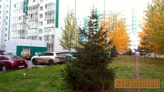 Осень в 219 квартале