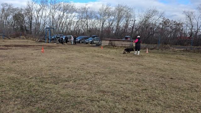 2.  выражено/пож АЛЛЕМО ХАУС ЕЛИЗАРА (Feyvorits Gods Vulkan – Аллемо Хаус Барби)