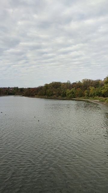 Мост в парке им. Щербакова, Донецк. Октябрь 2025. Правая сторона, если смотреть в парк