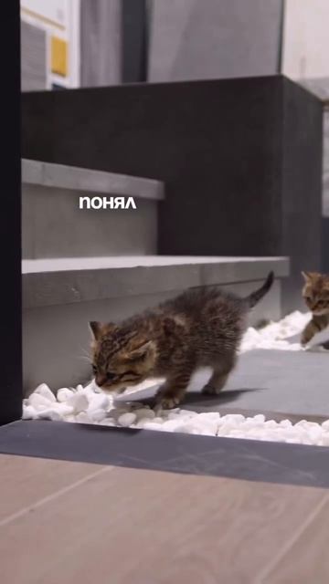 Капризные клиенты 🙄😅😅