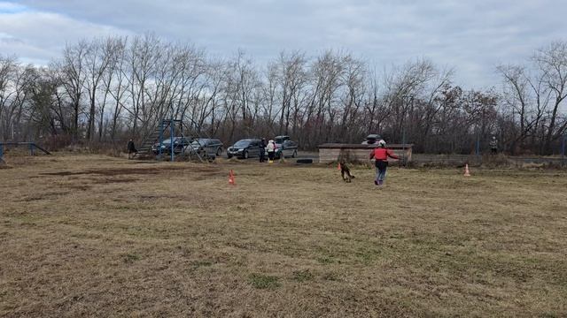 8.  выражено/перв АЛЛЕМО ХАУС ЛИБЕРТИ (Bolt del Colle Guasco – Аллемо Хаус Хасандра)